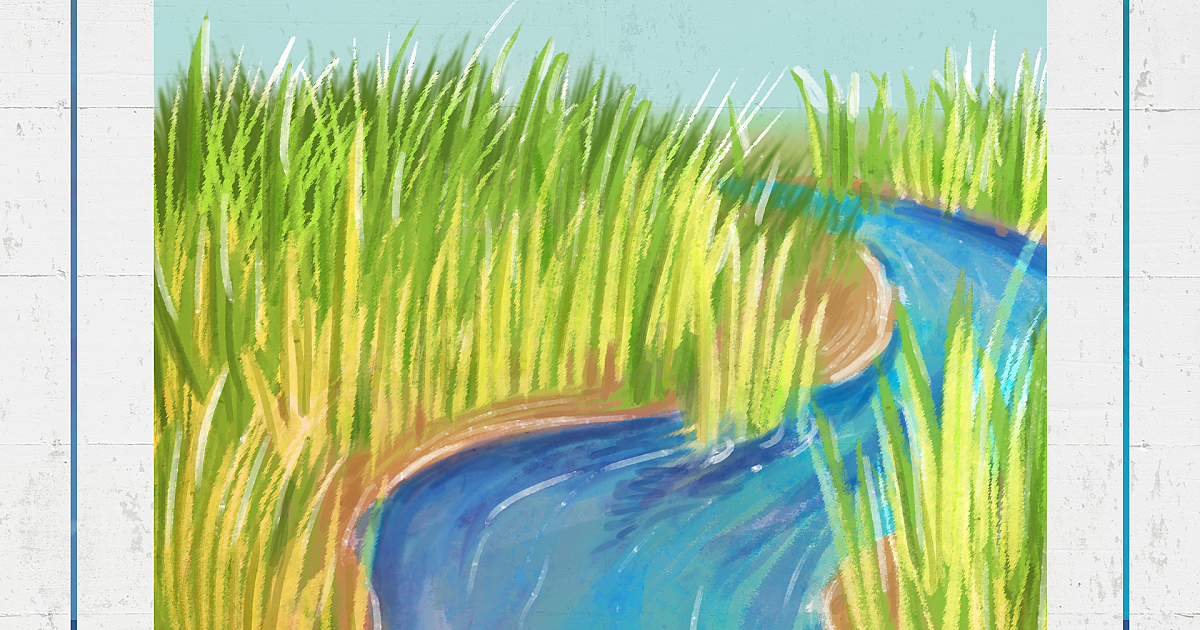 Step Inside the River Reeds